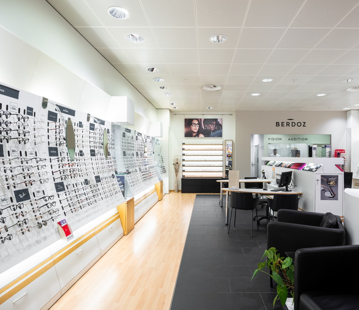 Berdoz Bulle - Berdoz Vision & Audition