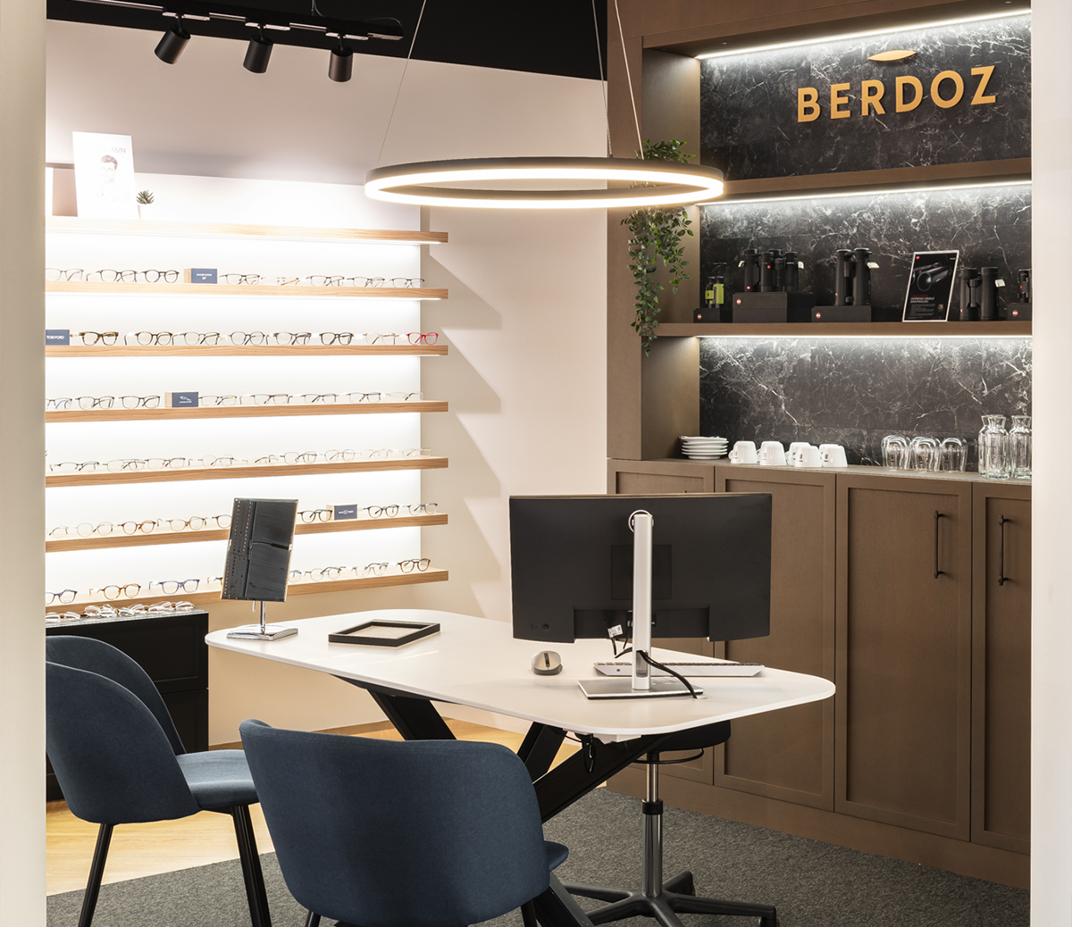 Berdoz Nyon - Berdoz Vision & Audition